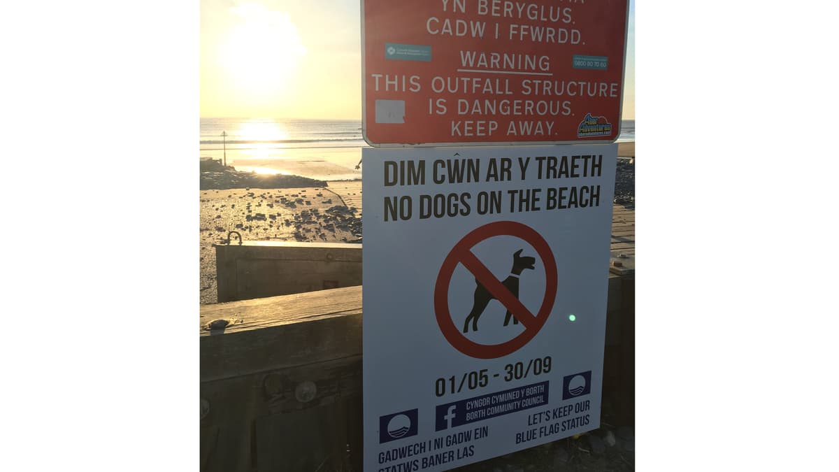Summer beach dog ban begins | cambrian-news.co.uk
